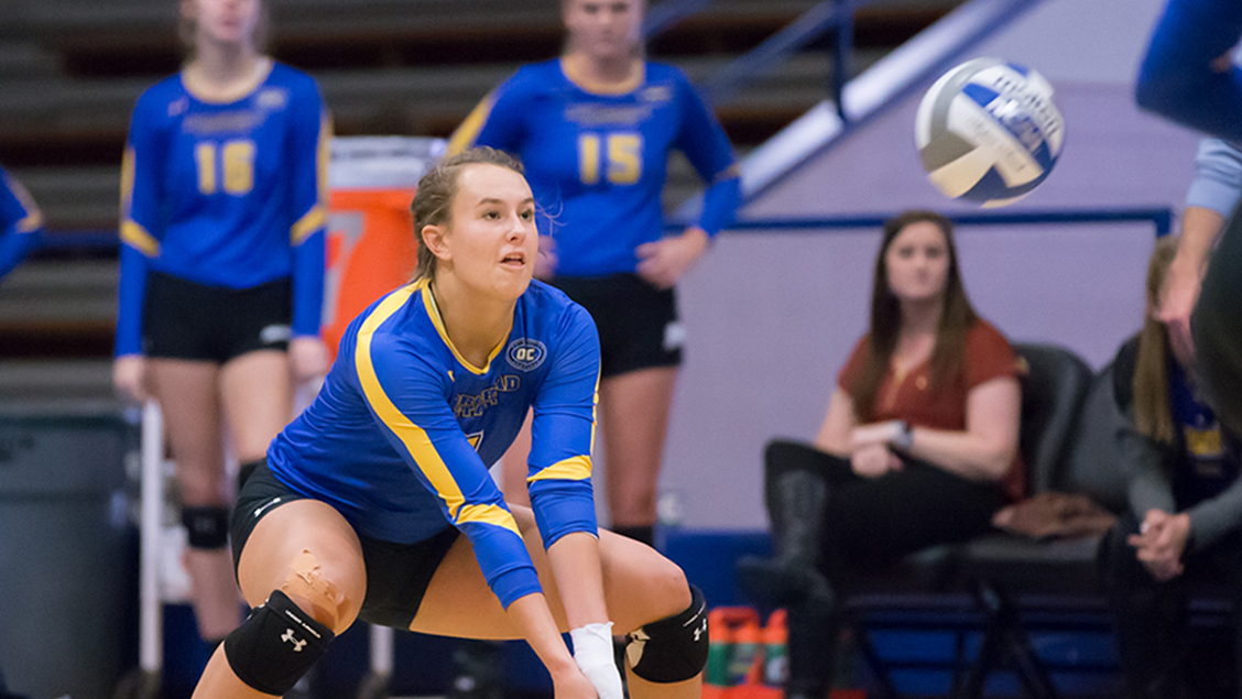 Lauren Rokey - Volleyball - Morehead State University Athletics