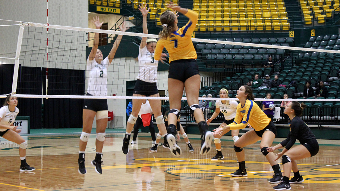Lauren Rokey - Volleyball - Morehead State University Athletics
