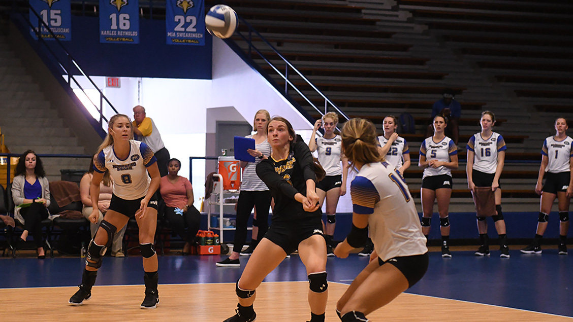 Allison Whitten - Volleyball - Morehead State University Athletics