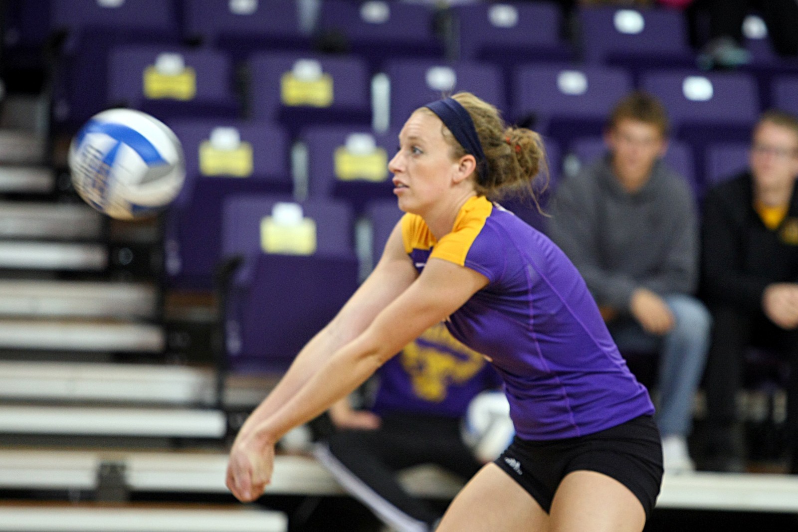 Chelsea Fogarty - Women's Volleyball - Minnesota State University ...