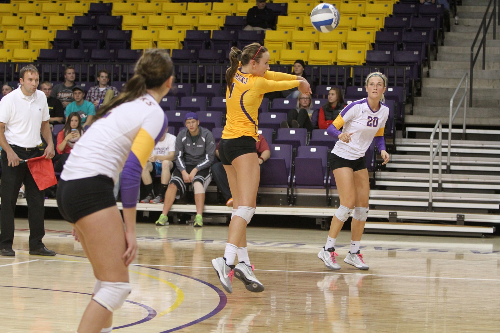 Haley Fogarty - Women's Volleyball - Minnesota State University ...