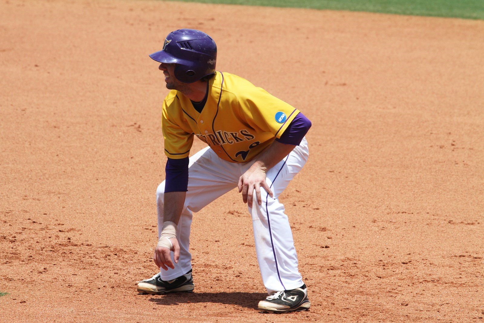 Connor McCallum - Baseball - Minnesota State University - Mankato Athletics