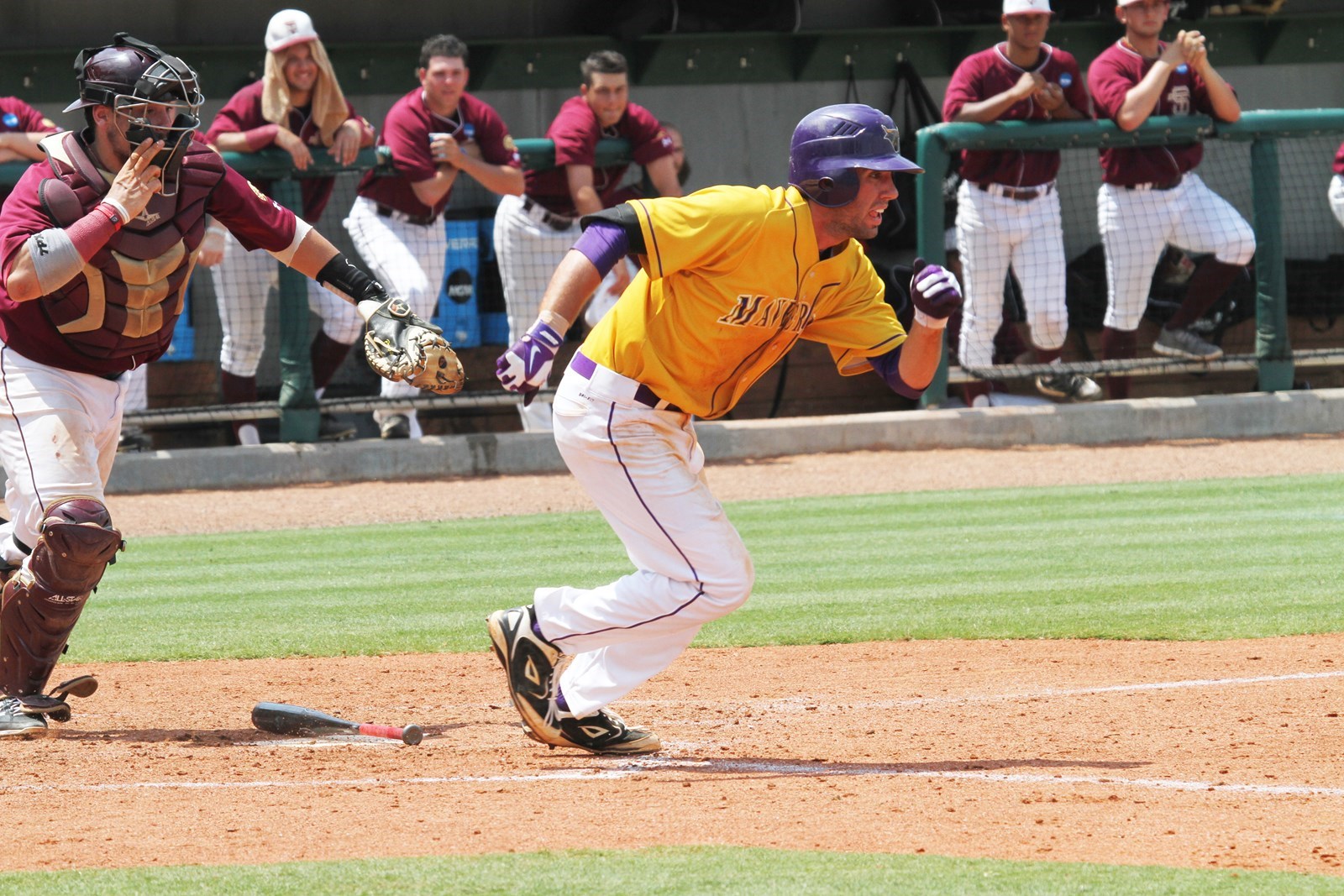 Connor McCallum - Baseball - Minnesota State University - Mankato Athletics