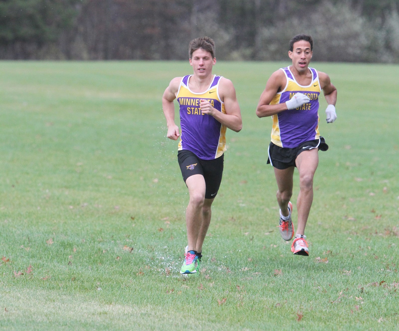 Brendan Gessner - Men's Cross Country - Minnesota State University ...