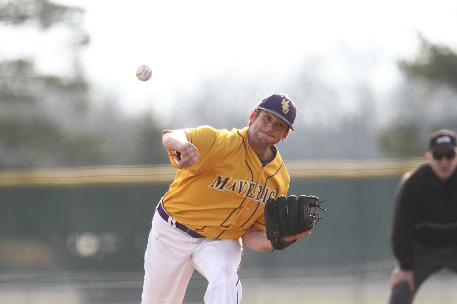 Peter Gaustad - Baseball - Minnesota State University - Mankato Athletics