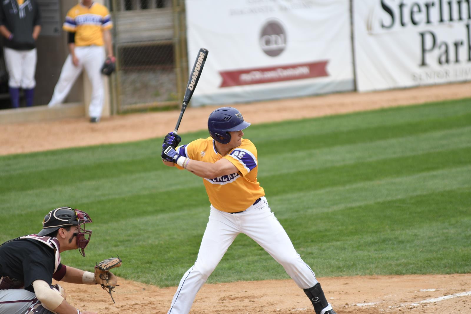 Eric Peterson - Baseball - Minnesota State University - Mankato Athletics