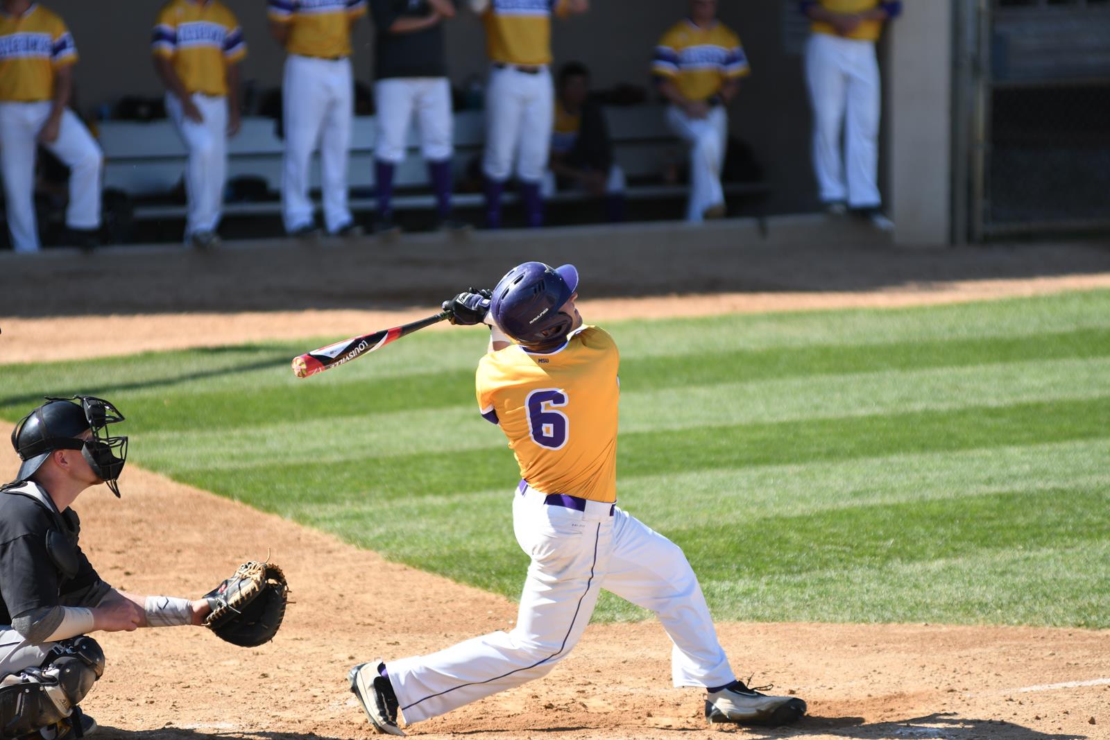 Josh Wenzel - Baseball - Minnesota State University - Mankato Athletics