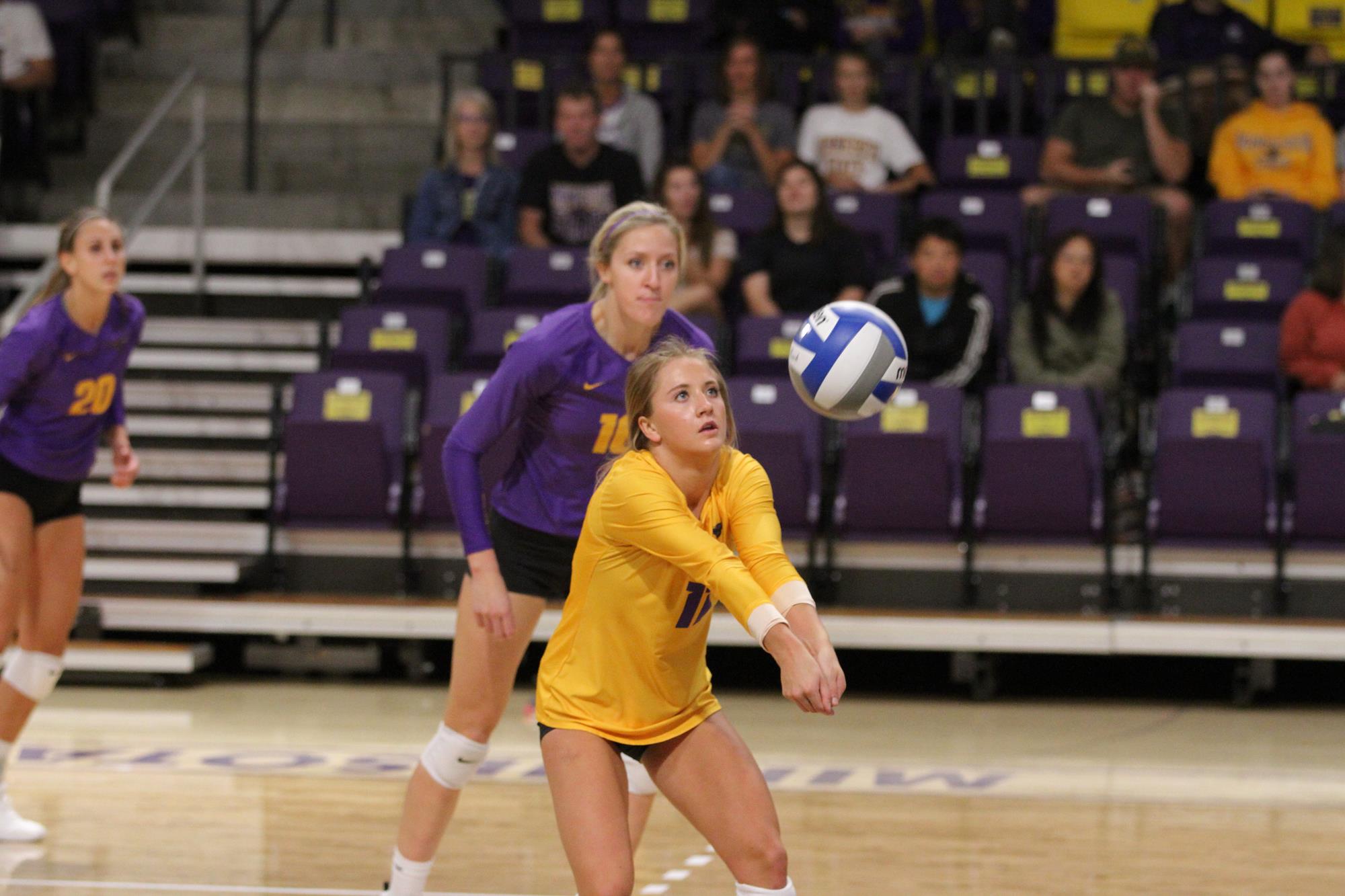 Anissa Janzig - Women's Volleyball - Minnesota State University ...