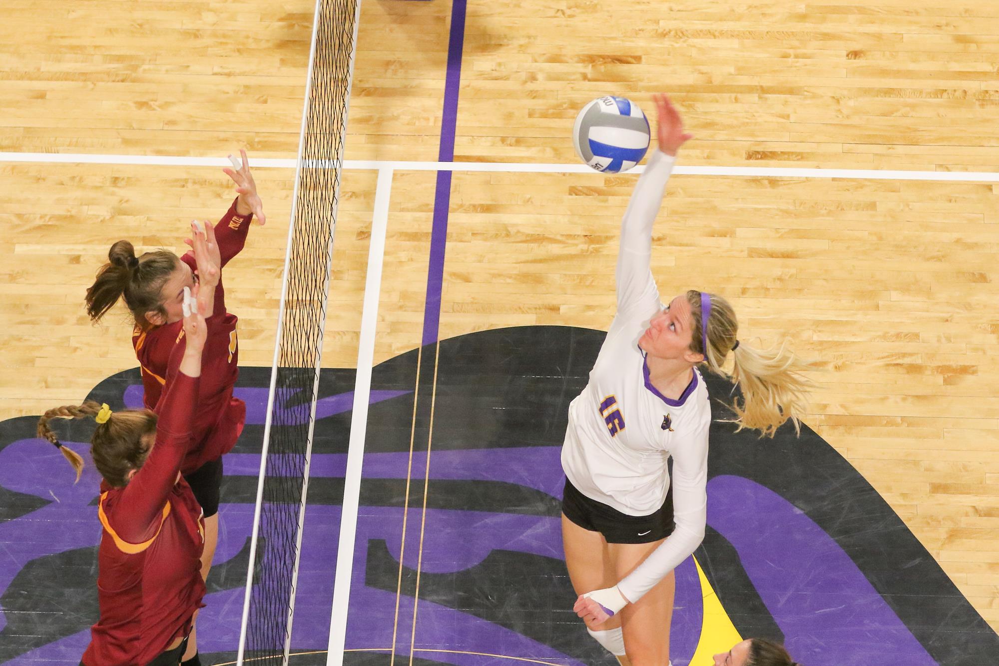 Anissa Janzig - Women's Volleyball - Minnesota State University ...