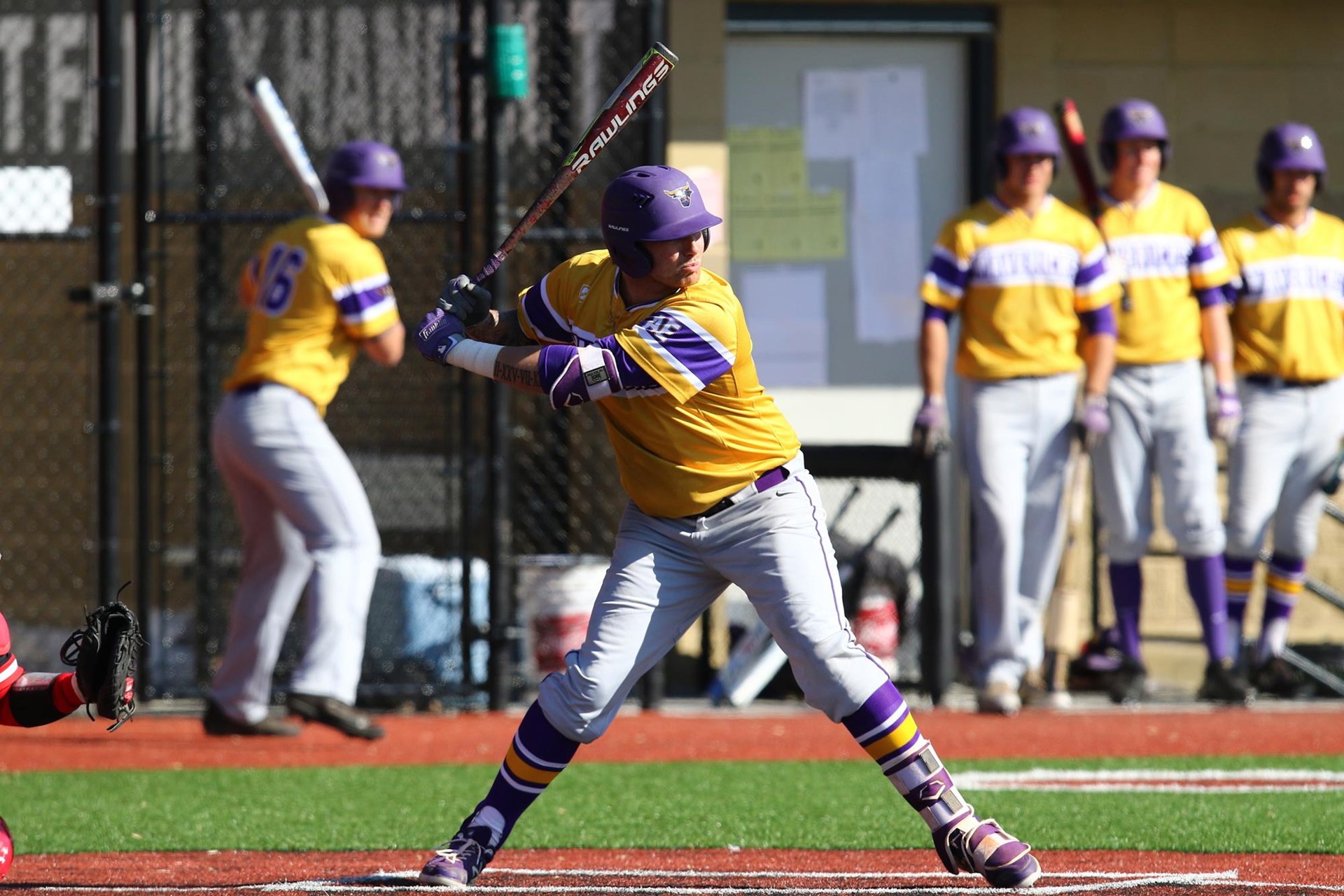 Ty Buck - Baseball - Minnesota State University - Mankato Athletics
