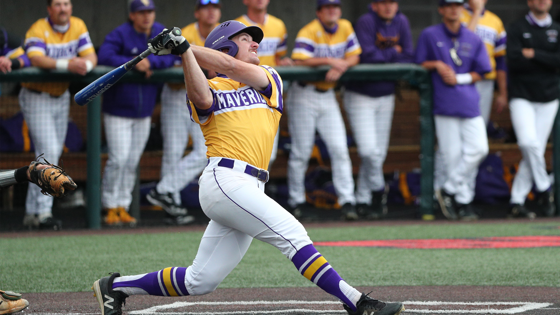 Joey Werner - Baseball - Minnesota State University - Mankato Athletics
