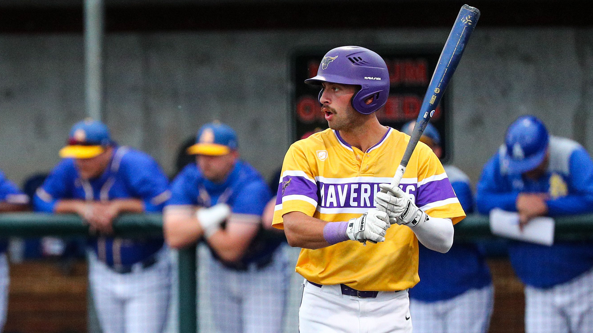 Ty Denzer - Baseball - Minnesota State University - Mankato Athletics