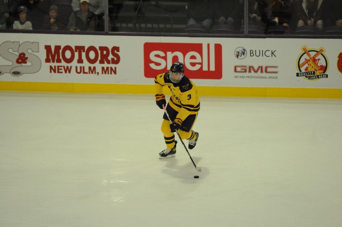 Christian Fitzgerald - Men's Hockey - Minnesota State University ...