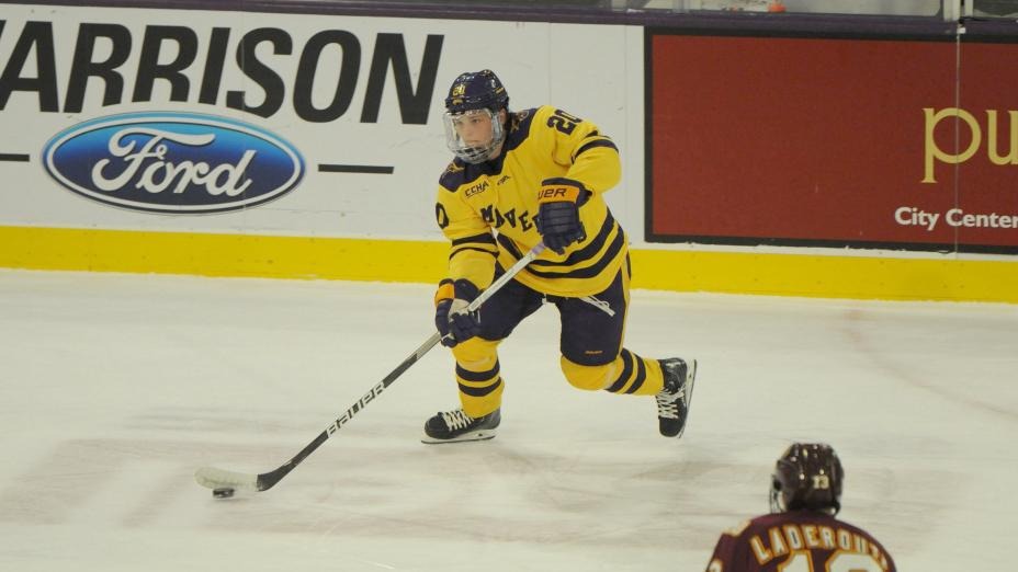 Connor Gregga - Men's Hockey - Minnesota State University - Mankato ...