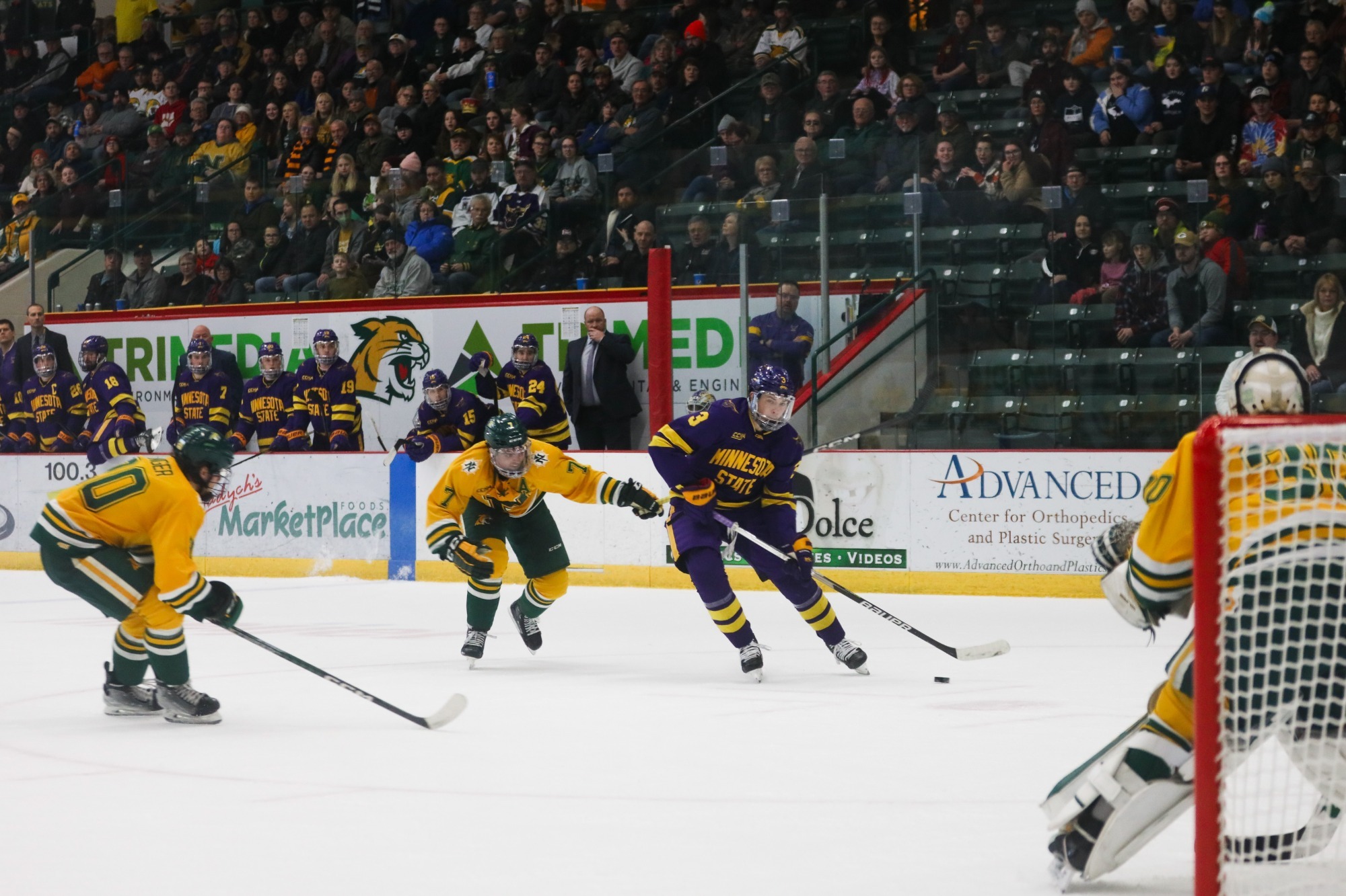 Christian Fitzgerald - Men's Hockey - Minnesota State University ...