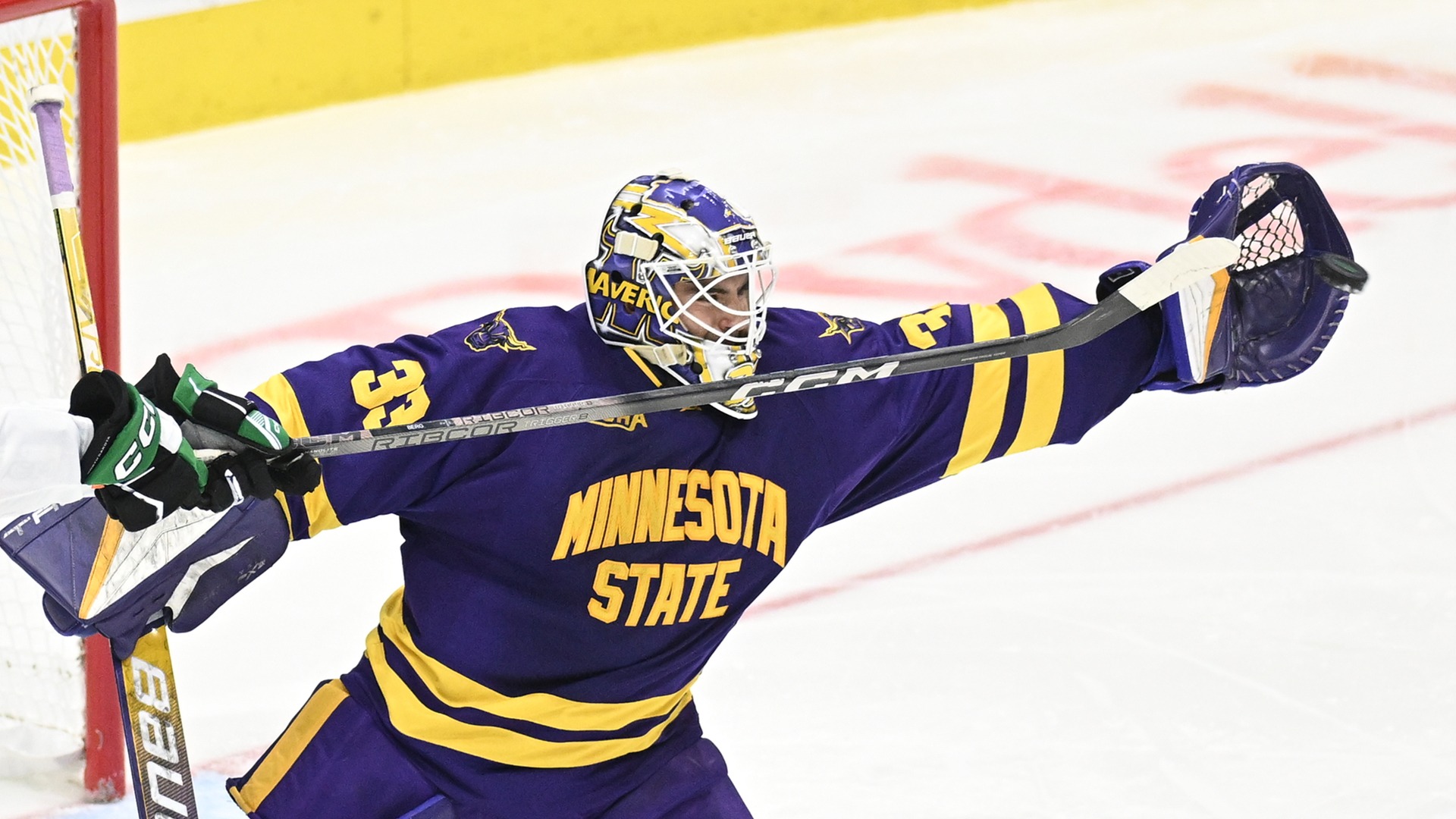 Tracy Backstops Mavericks to Tie at #4 Fighting Hawks - Minnesota State ...