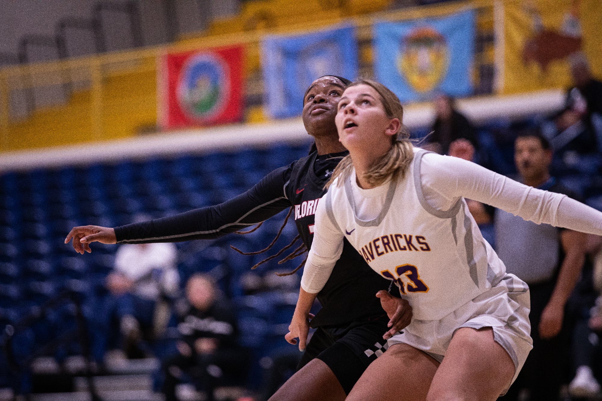 Grace Mueller - Women's Basketball - Minnesota State University ...