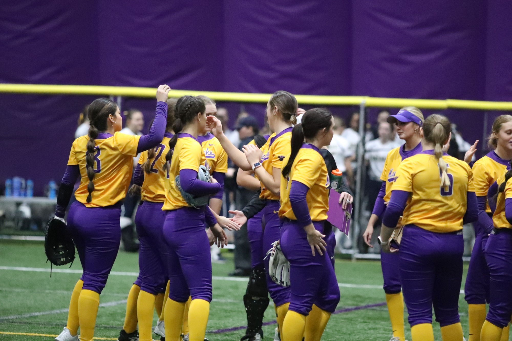Minnesota State Softball Kicks Off 2025 Season with Dome Tournament ...