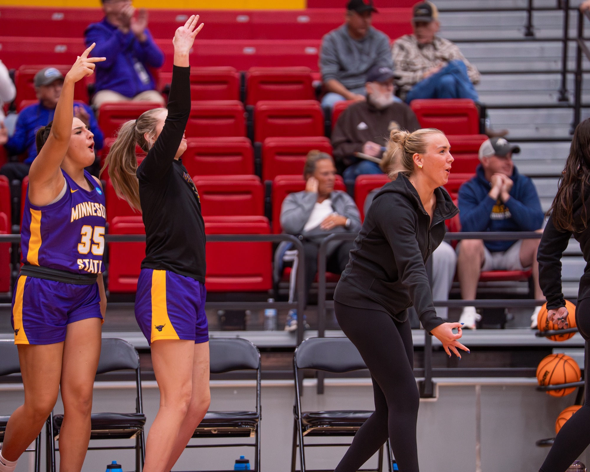 Minnesota State to Challenge Missouri Western in First Round of 2025 ...