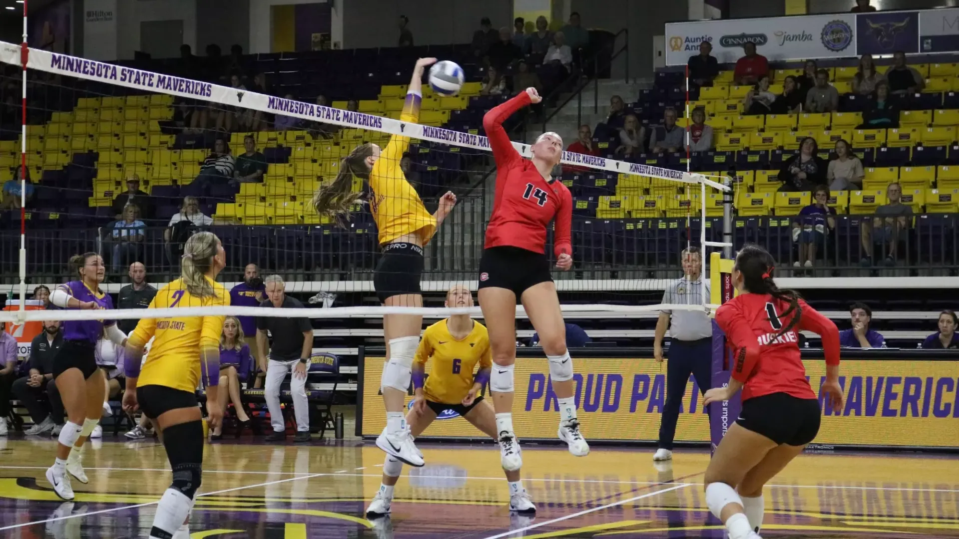 Mavericks Set to Open 2025 Season at Miner Volleyball Tournament ...