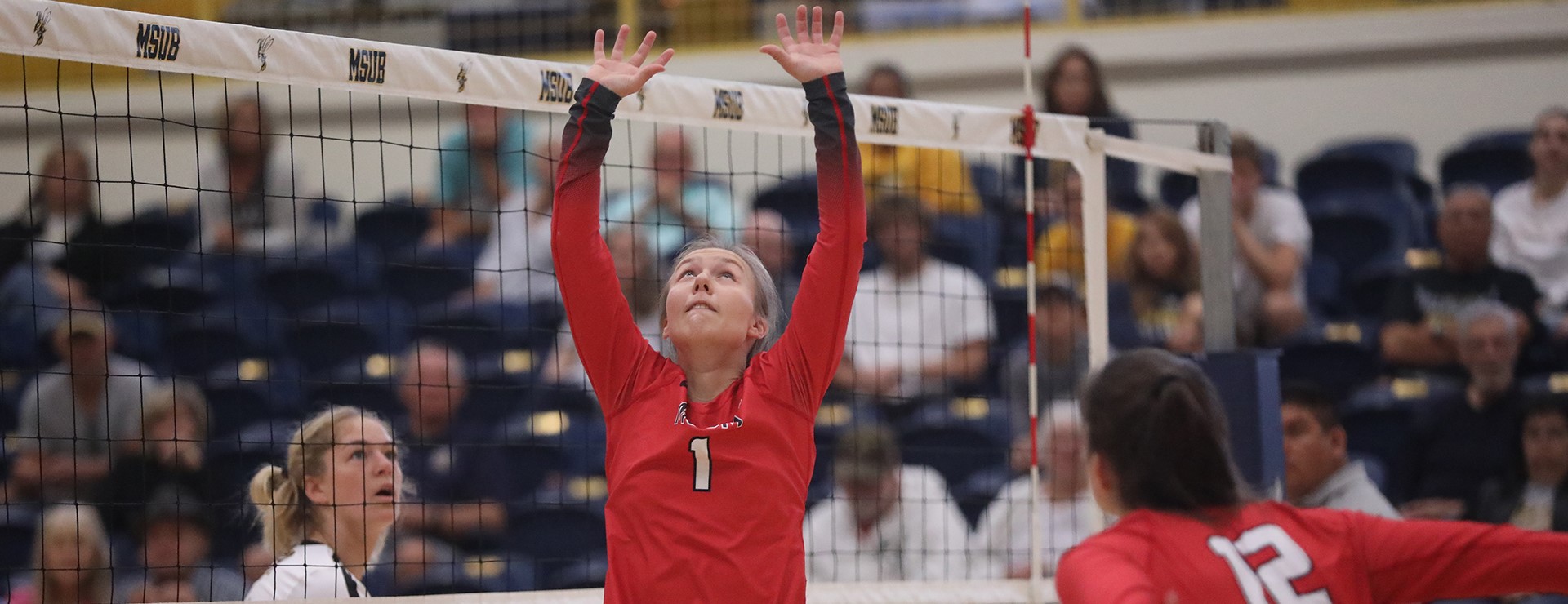 Jordan Hein - 2021 - Volleyball - MSU Moorhead Athletics