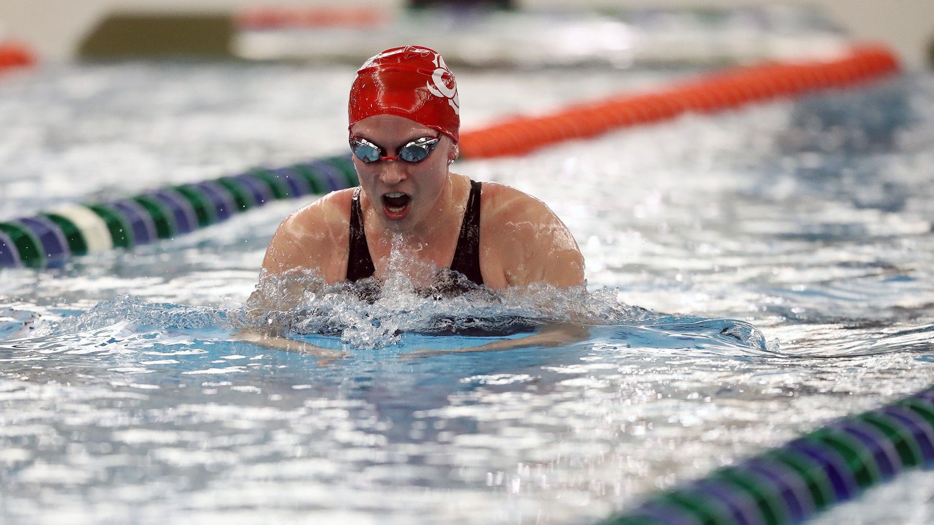 Winter's Top 5, Bray's NCAA 'B' Cut Lead Dragon Swim and Dive at Day 1 ...