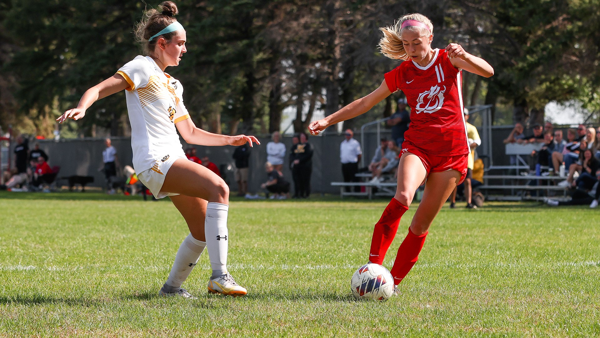 Lilly Johnson - 2024 - Soccer - MSU Moorhead Athletics