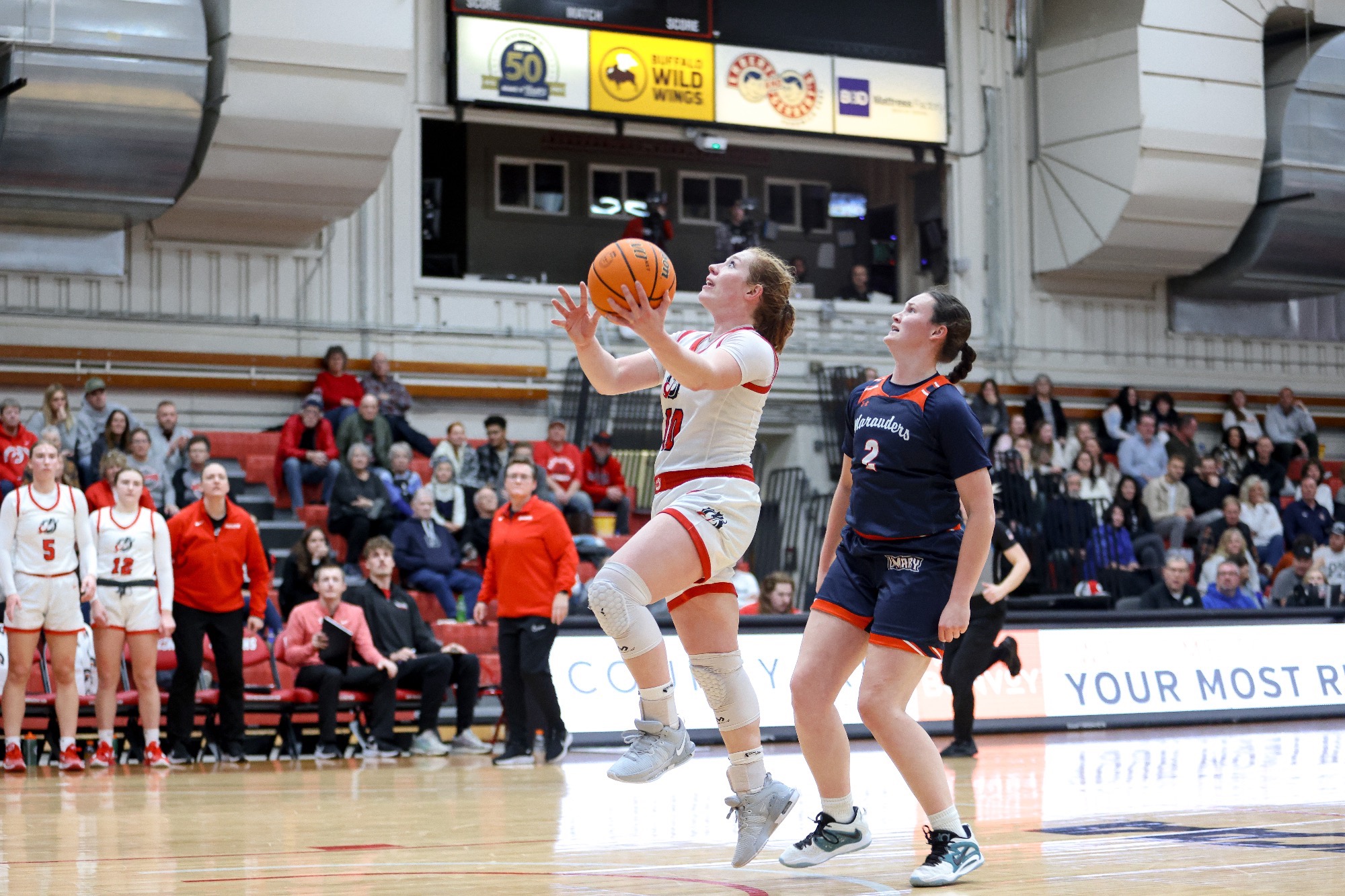 Sensational Comeback Attempts Falls Short for Dragons Against Mary ...