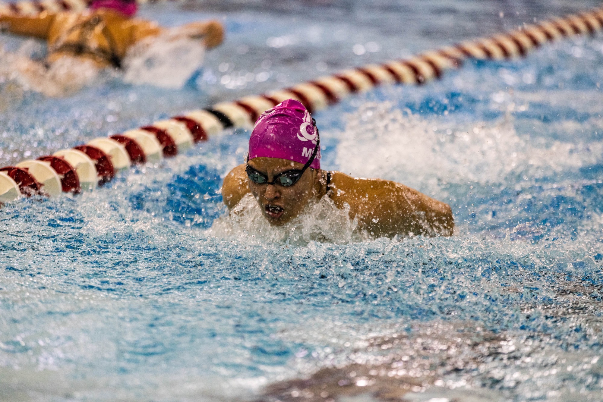 Dragon Swimming & Diving Battles for Triangular Sweep - MSU Moorhead Athletics