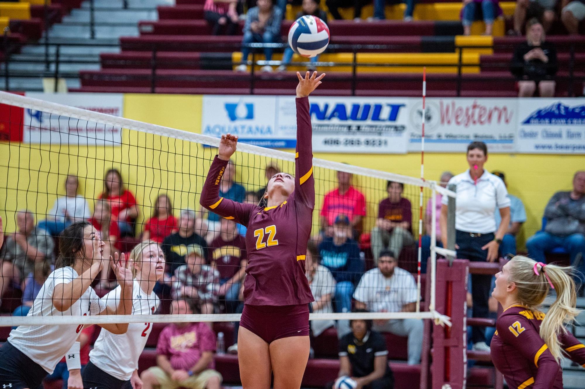 Emily Feller - Women's Volleyball - Montana State University Northern ...