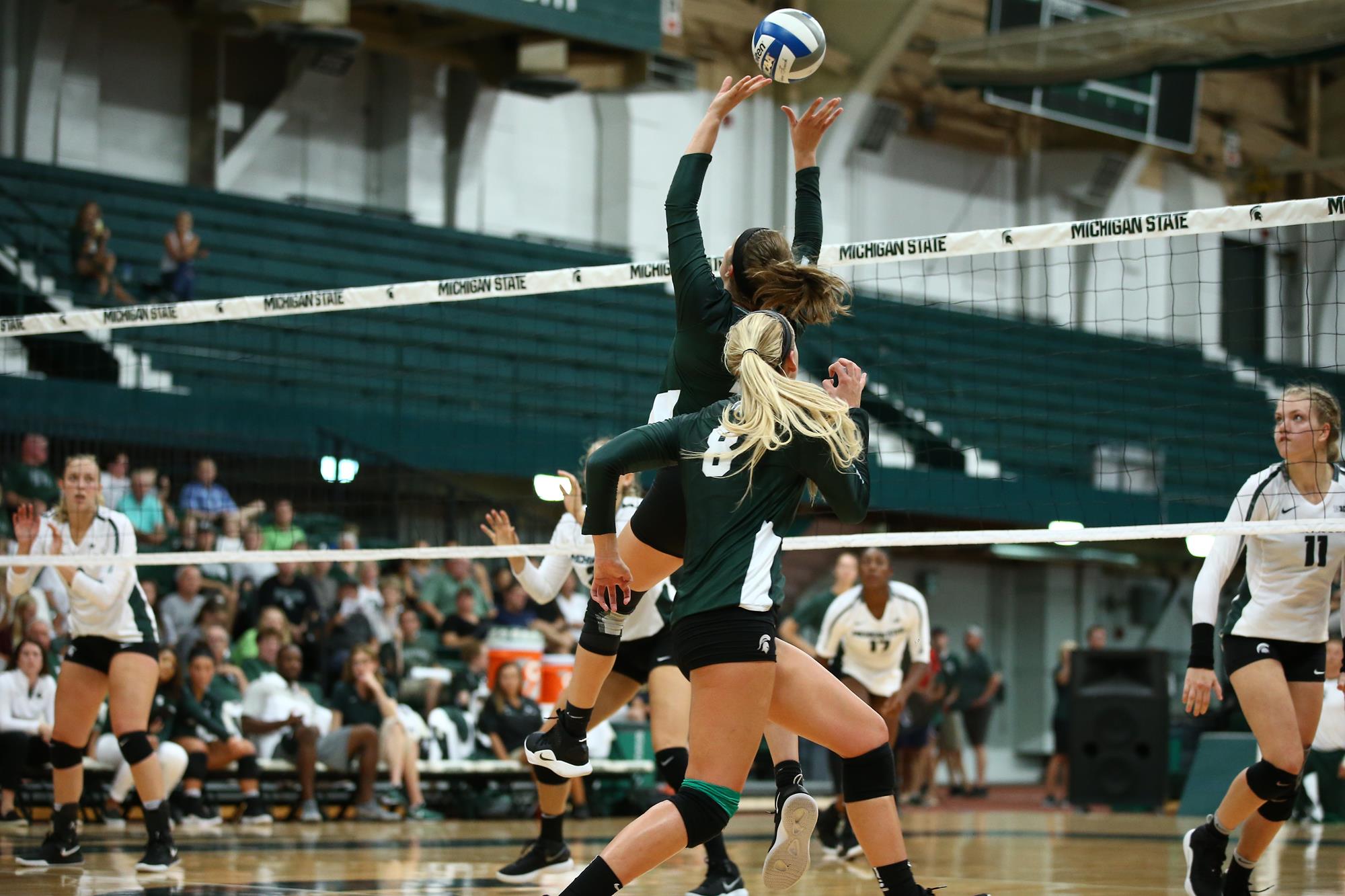 Julia Hatcher - Volleyball - Michigan State University Athletics