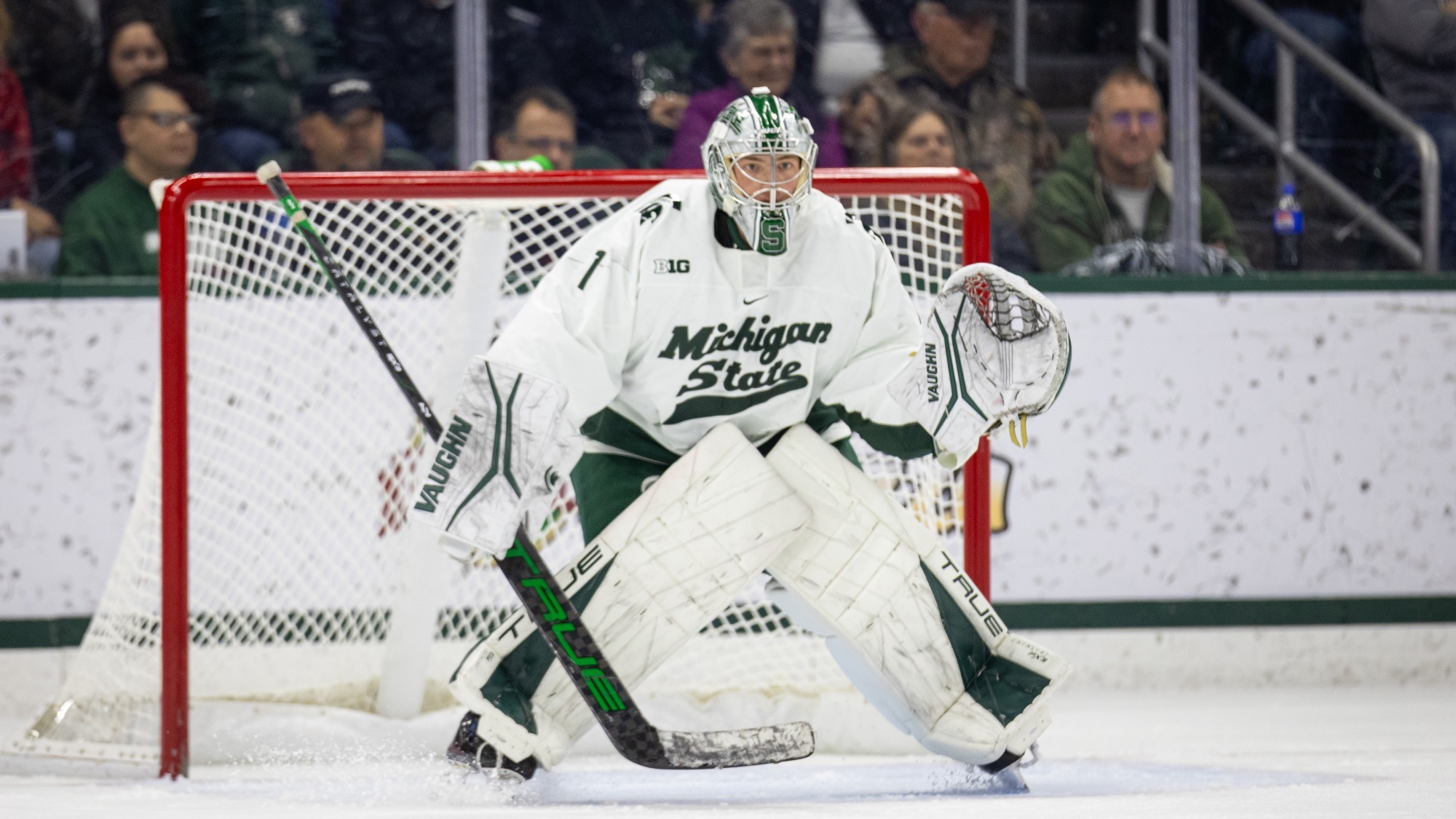 Trey Augustine - Men's Ice Hockey - Michigan State University Athletics