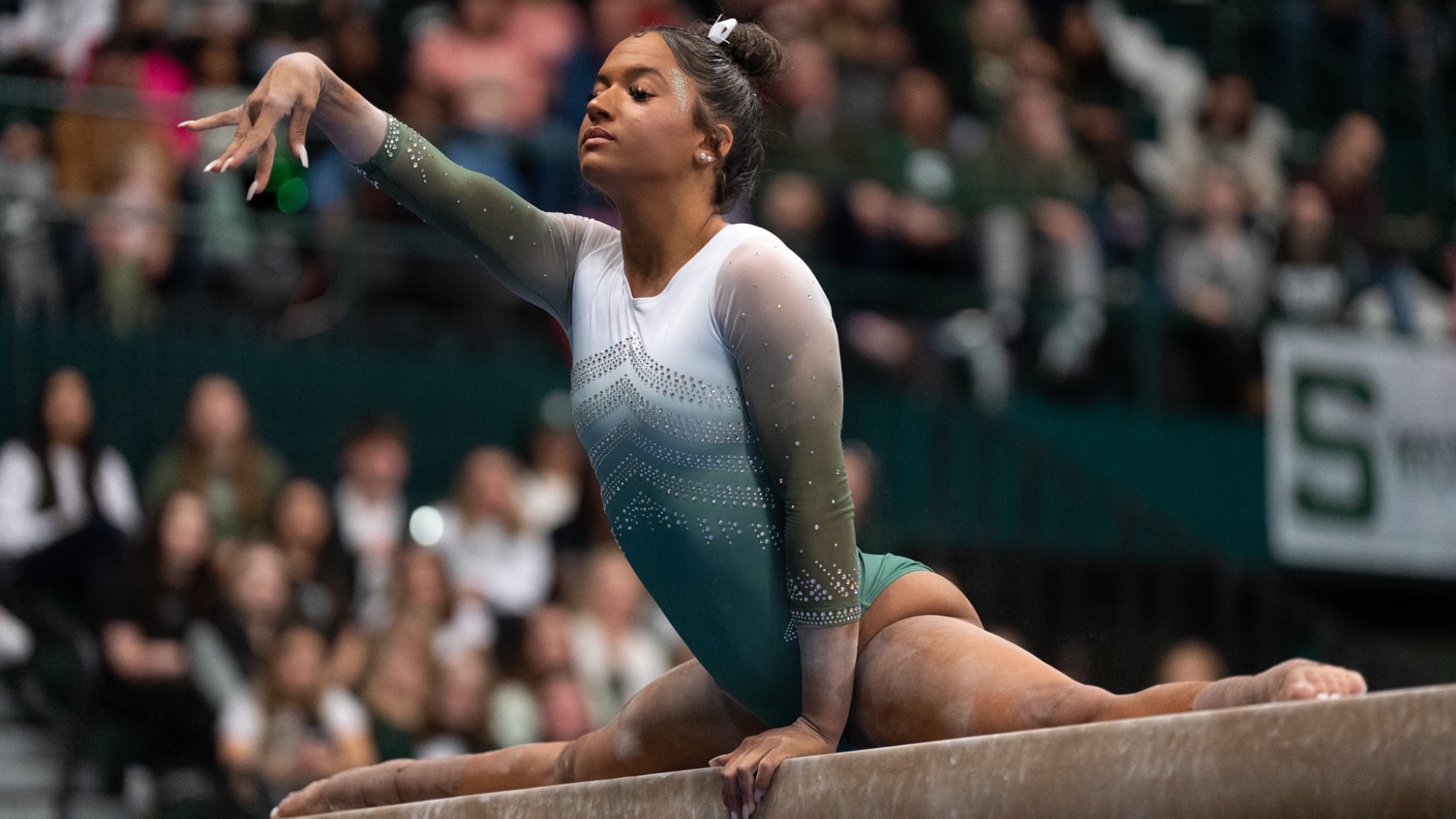 Skyla Schulte - Women's Gymnastics - Michigan State University Athletics