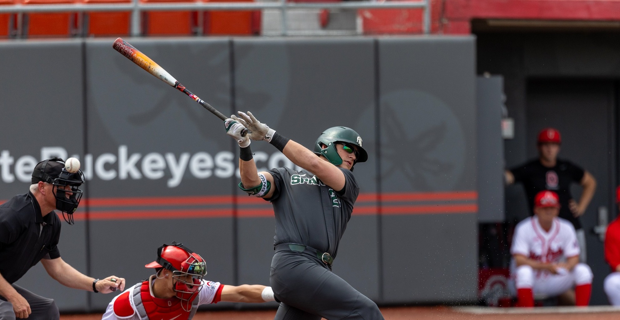 Sam Busch - Baseball - Michigan State University Athletics