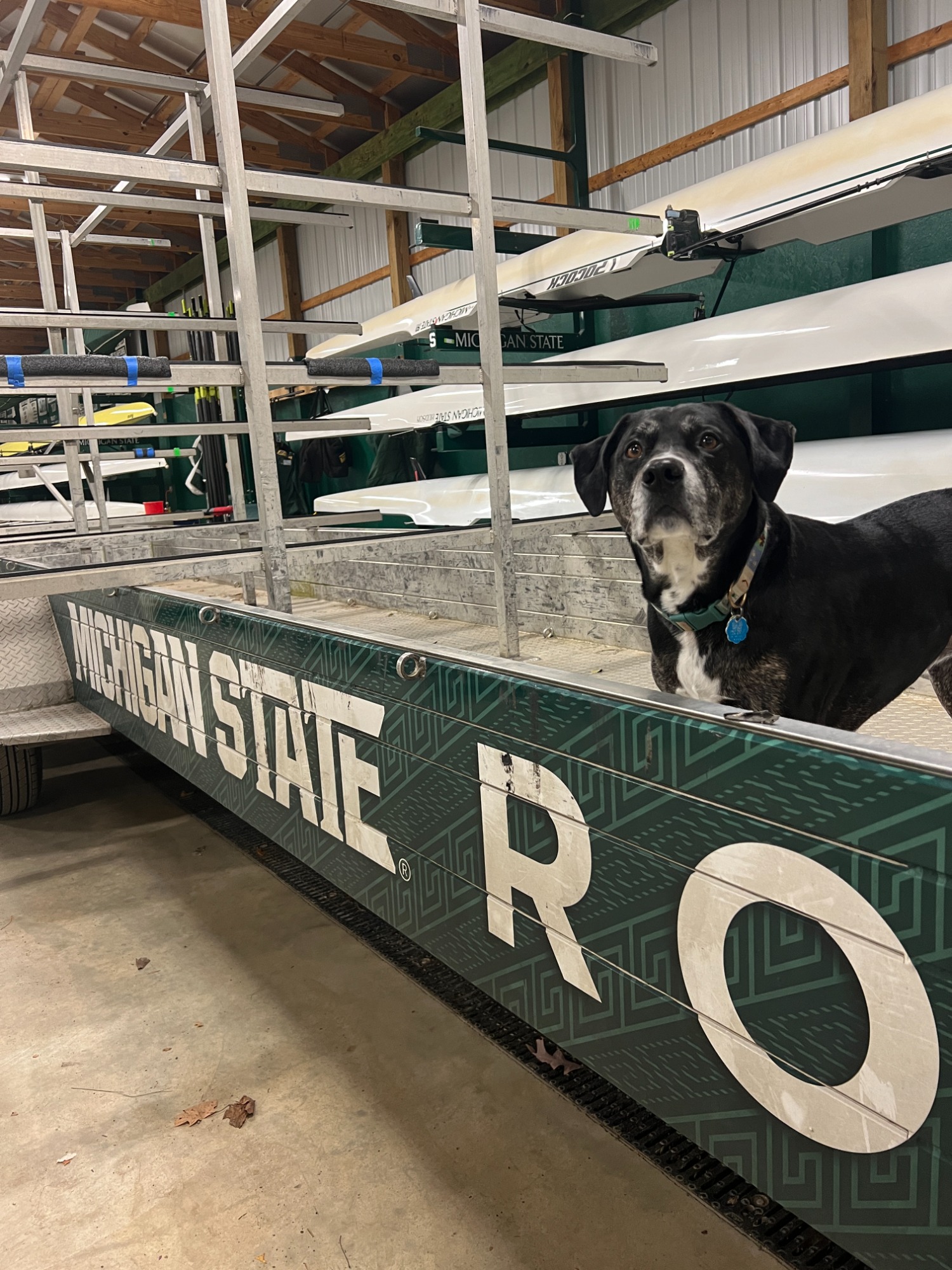 Rowing Welcomes 19 Newcomers for 2025 Season - Michigan State ...