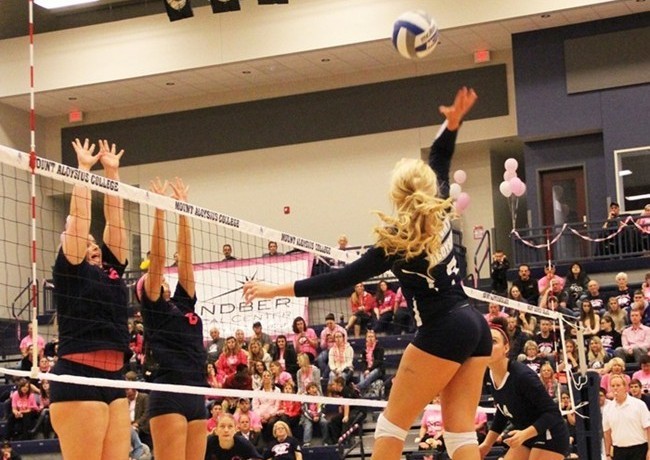 Lindsey Mercer - Women's Volleyball - Mount Aloysius College Athletics