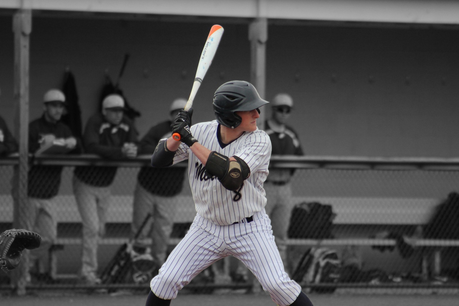 Ian Helsel - Baseball - Mount Aloysius College Athletics