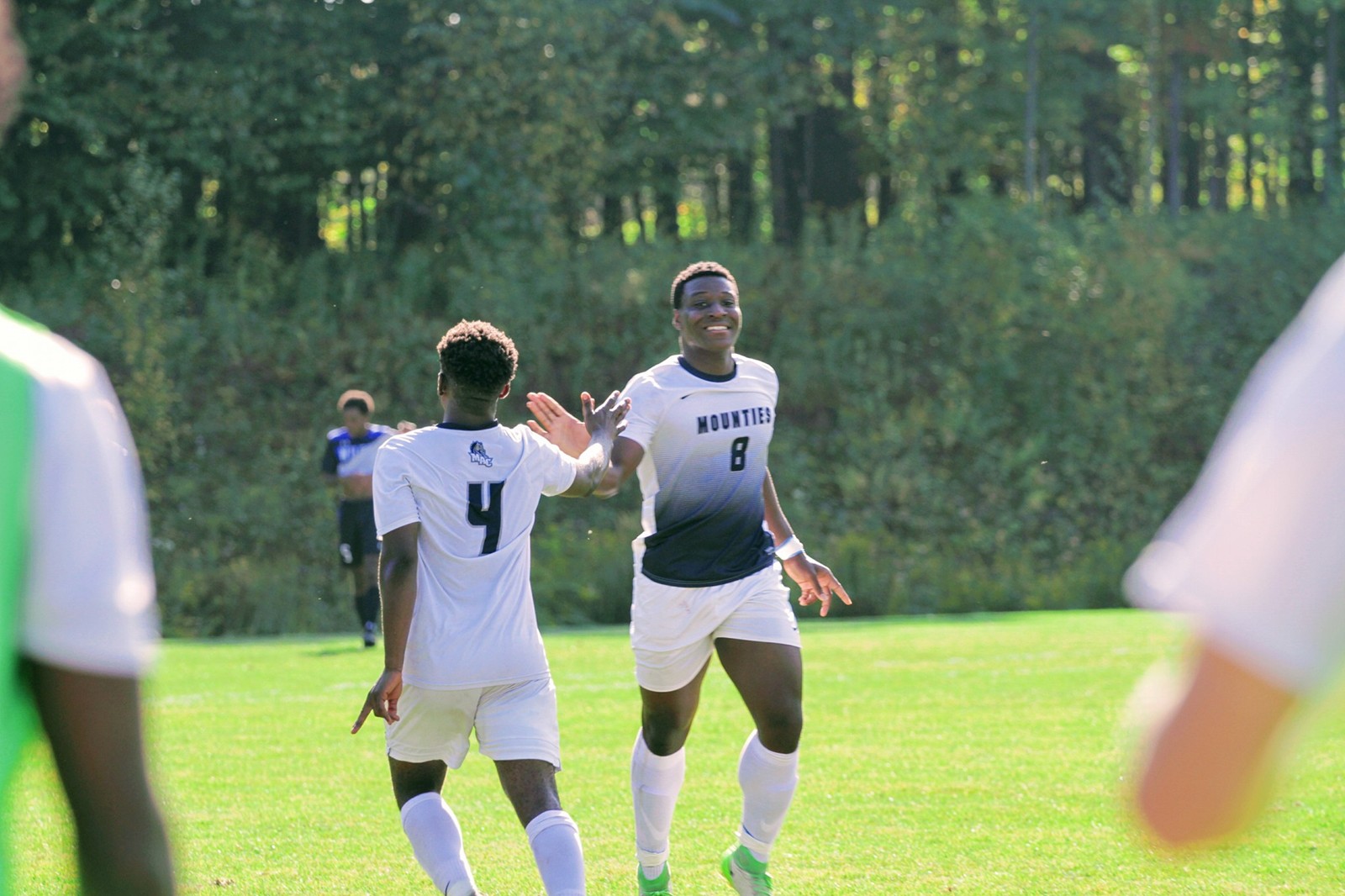 Domity Dahn - Men's Soccer - Mount Aloysius College Athletics