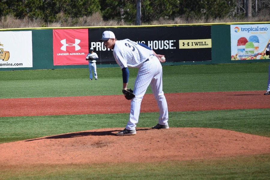 Austin Steedle - Baseball - Mount Aloysius College Athletics