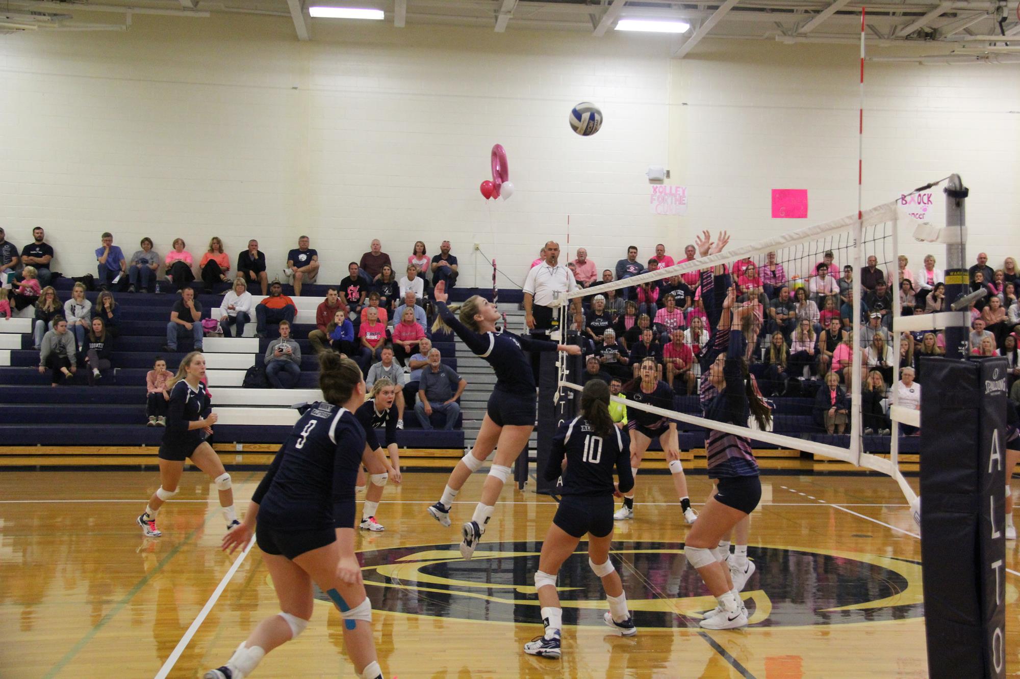 Machala Gibbons - Women's Volleyball - Mount Aloysius College Athletics