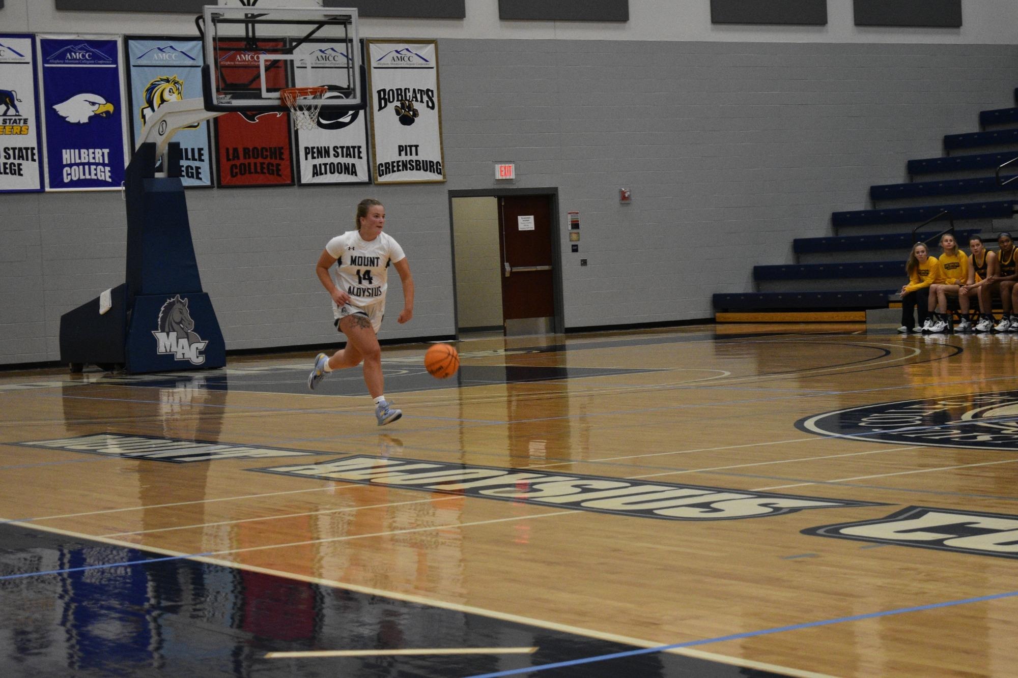 Hailey Drutarosky - Women's Basketball - Mount Aloysius College Athletics