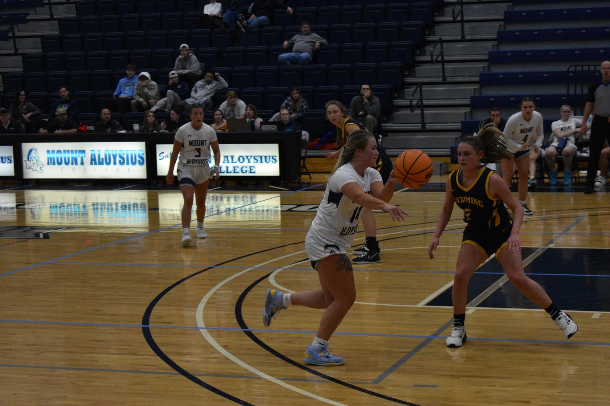 Hailey Drutarosky - Women's Basketball - Mount Aloysius College Athletics