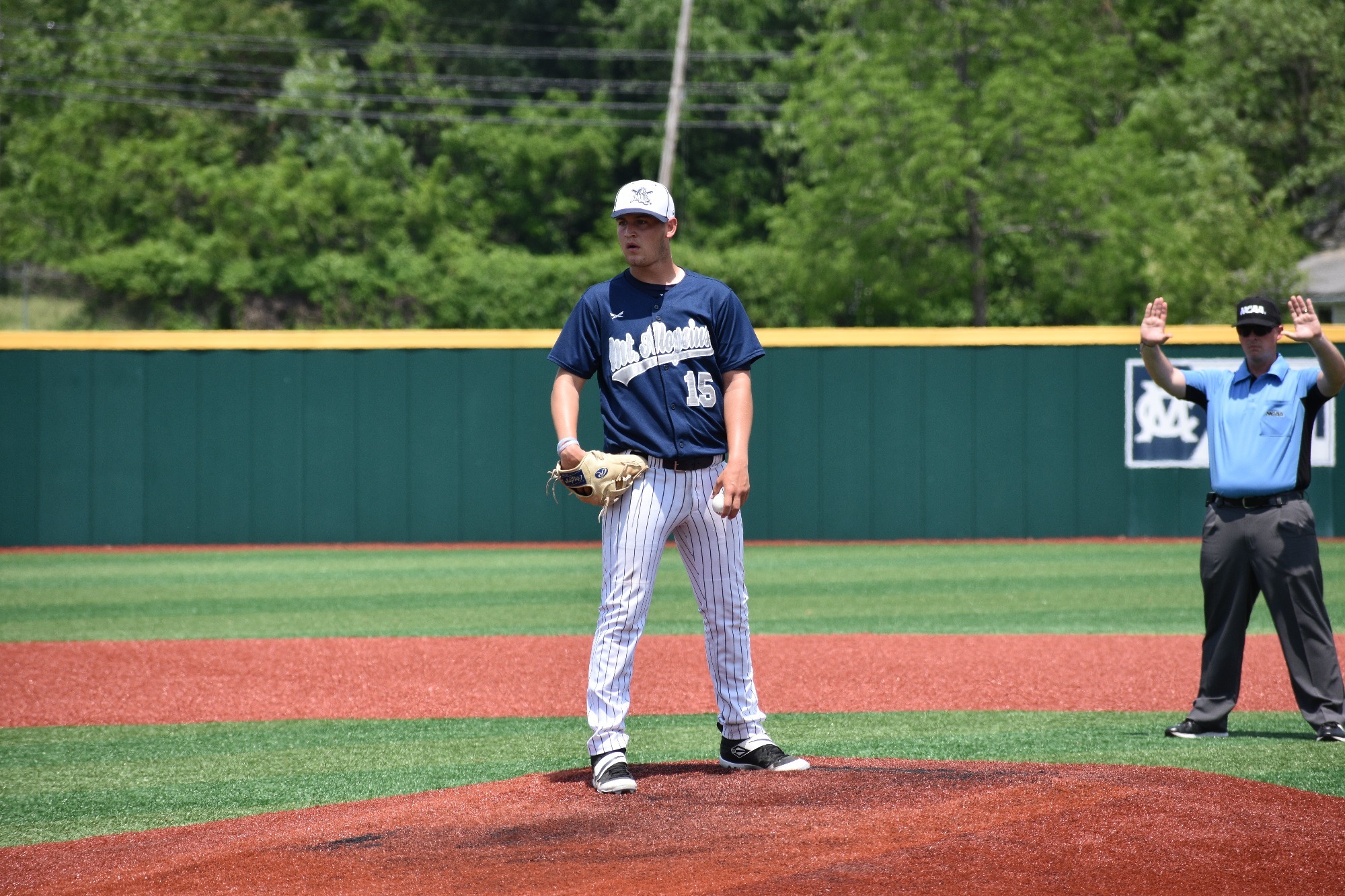 Seth Smith - Baseball - Mount Aloysius College Athletics