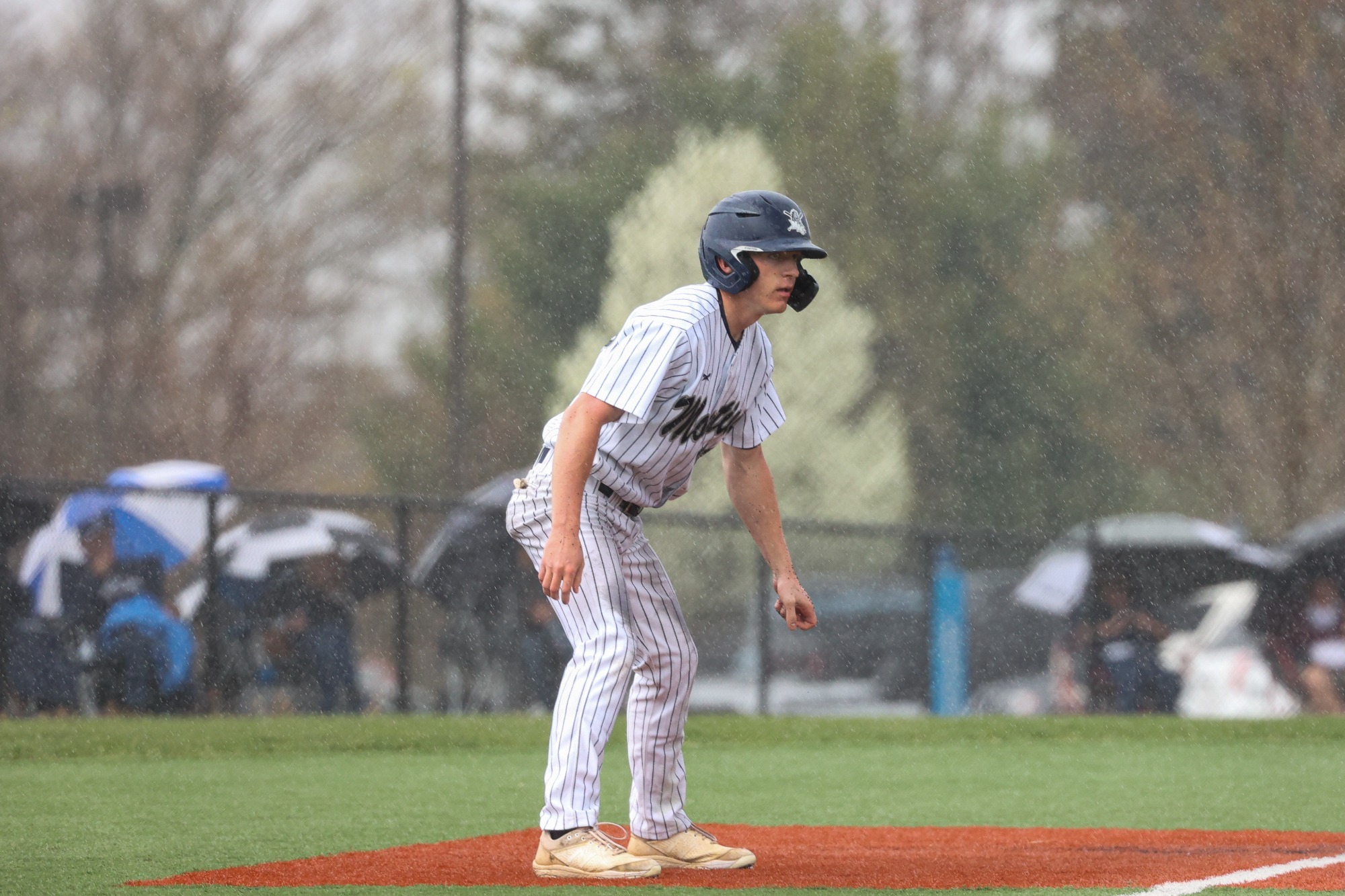 Gavin Constein - Baseball - Mount Aloysius College Athletics