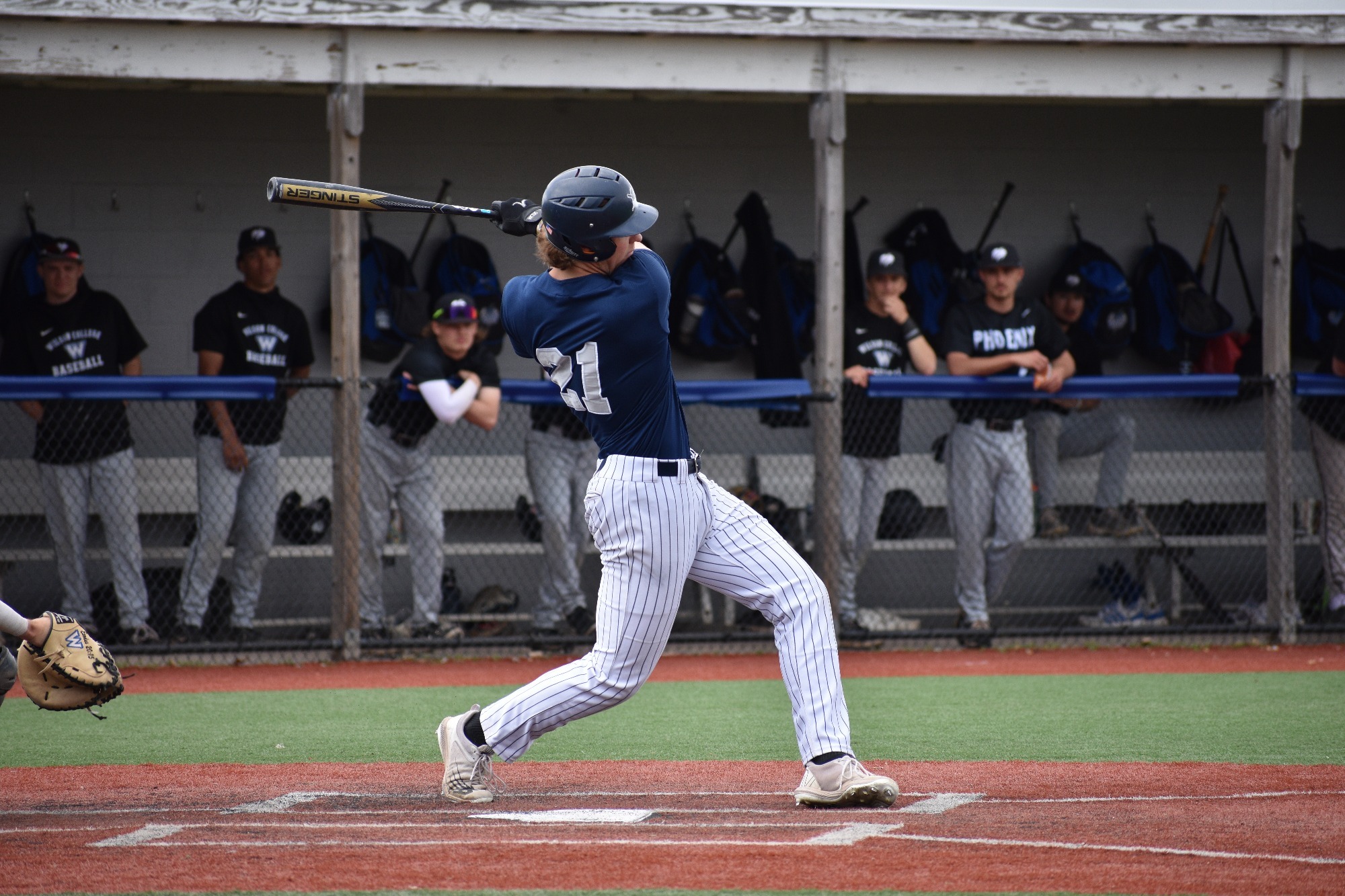 Brandon Shane - Baseball - Mount Aloysius College Athletics
