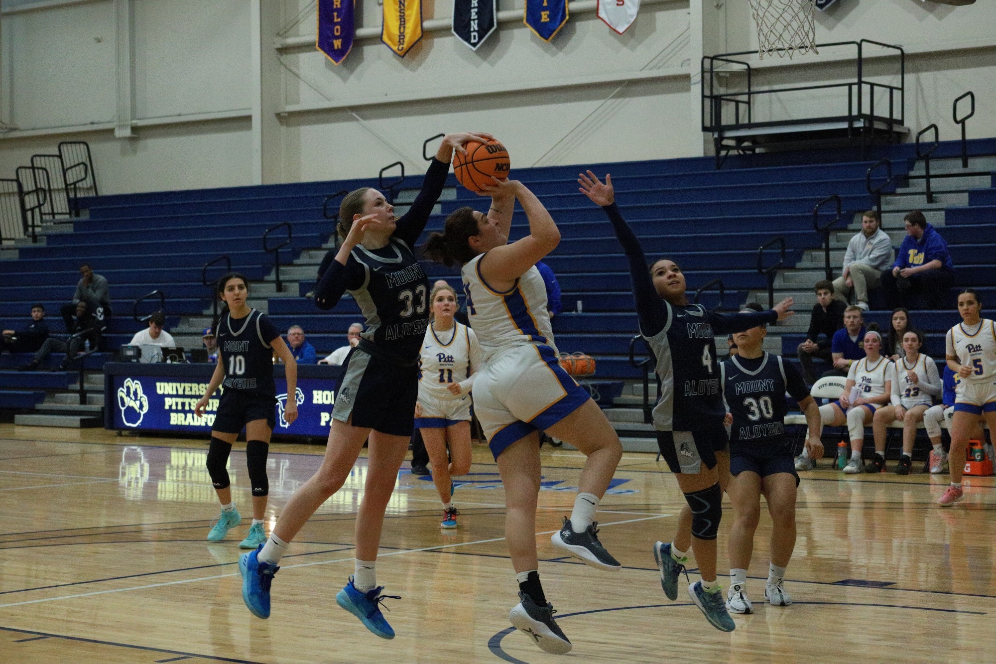 Mounties Upset Food Chain, Overcome Panthers - Mount Aloysius College ...
