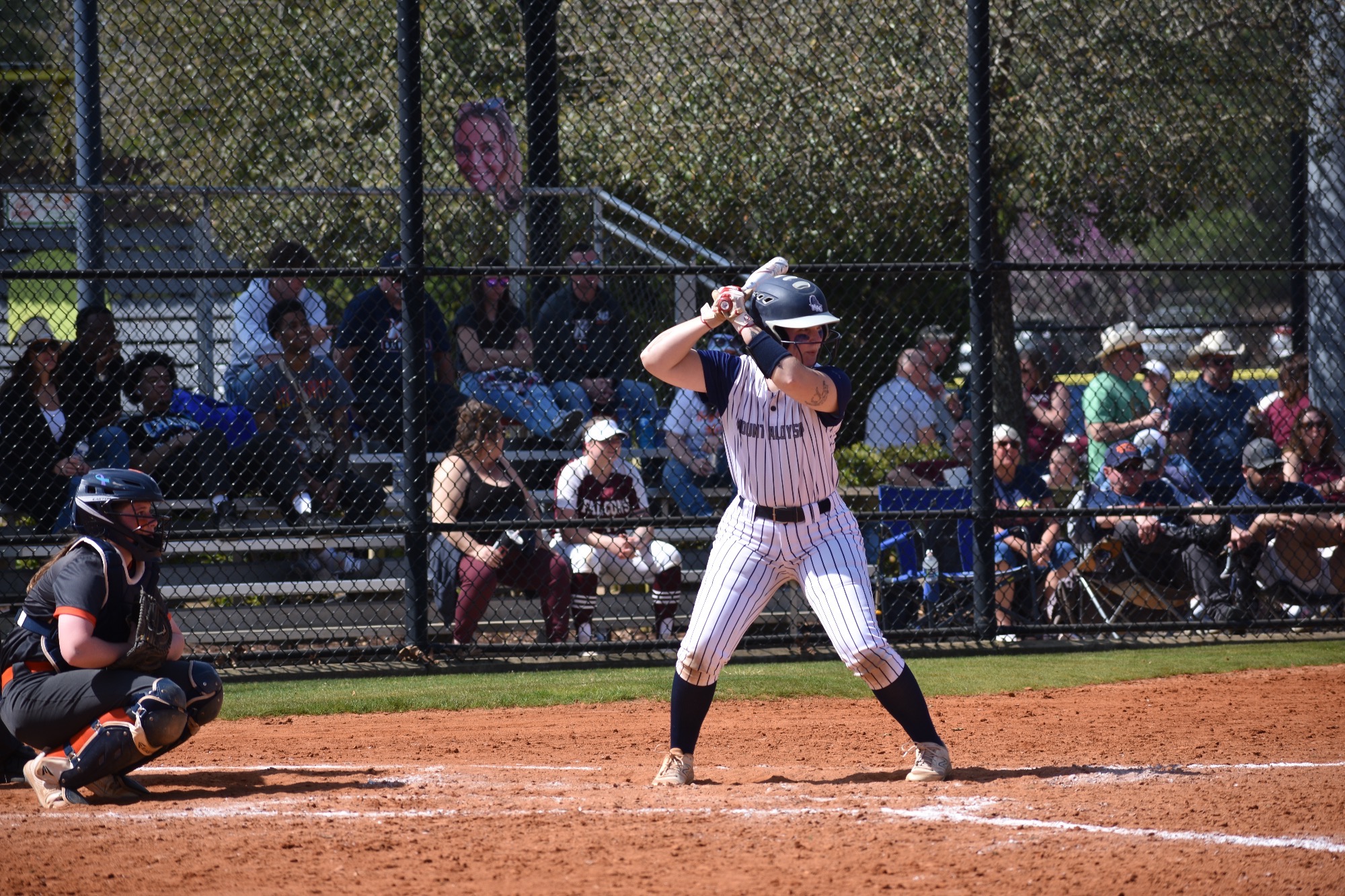 Mountie Softball Earns No. 3 Seed in AMCC Tournament; Sweeps Alfred ...