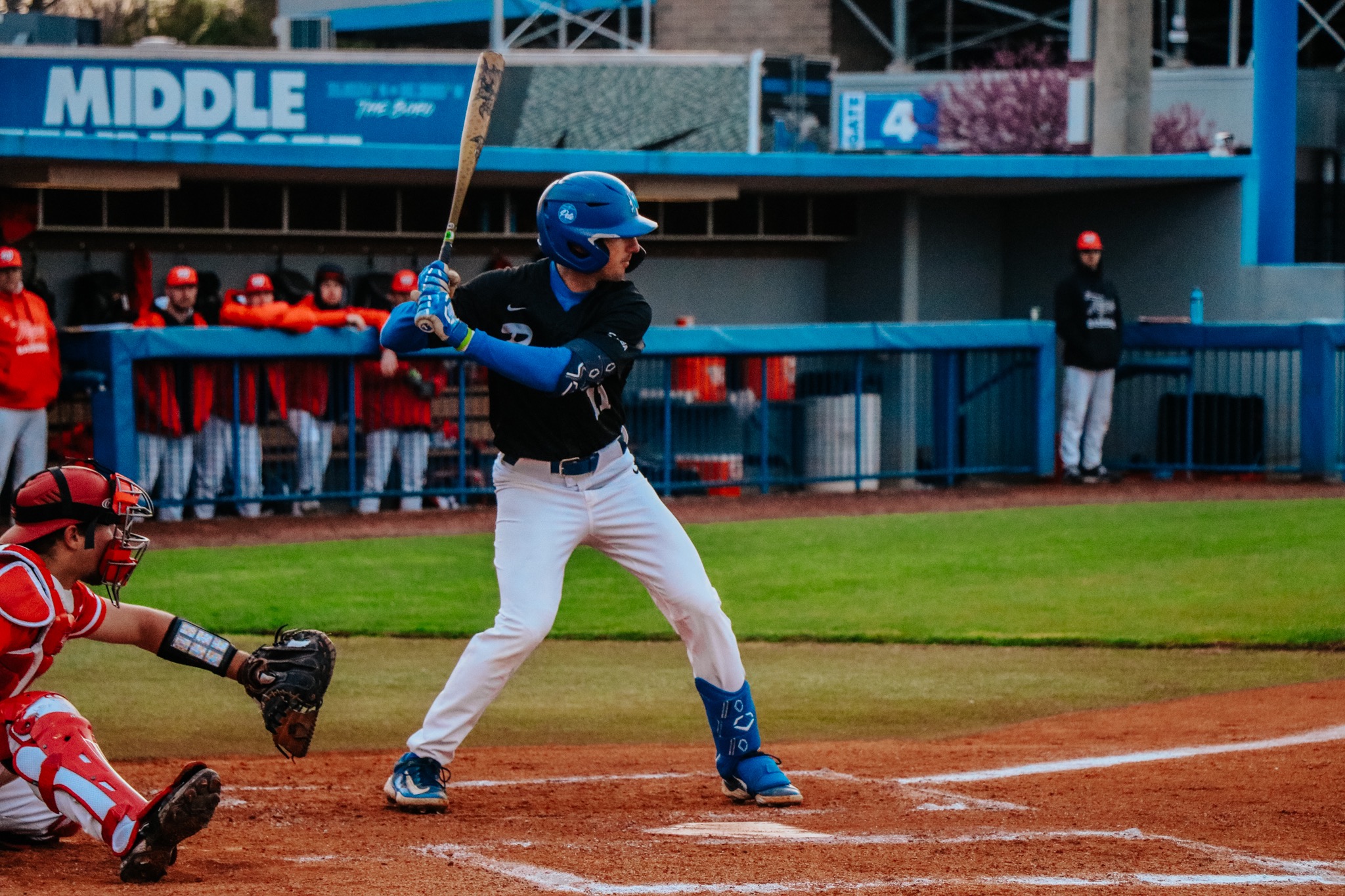 JT Mabry - Baseball - Middle Tennessee State University Athletics