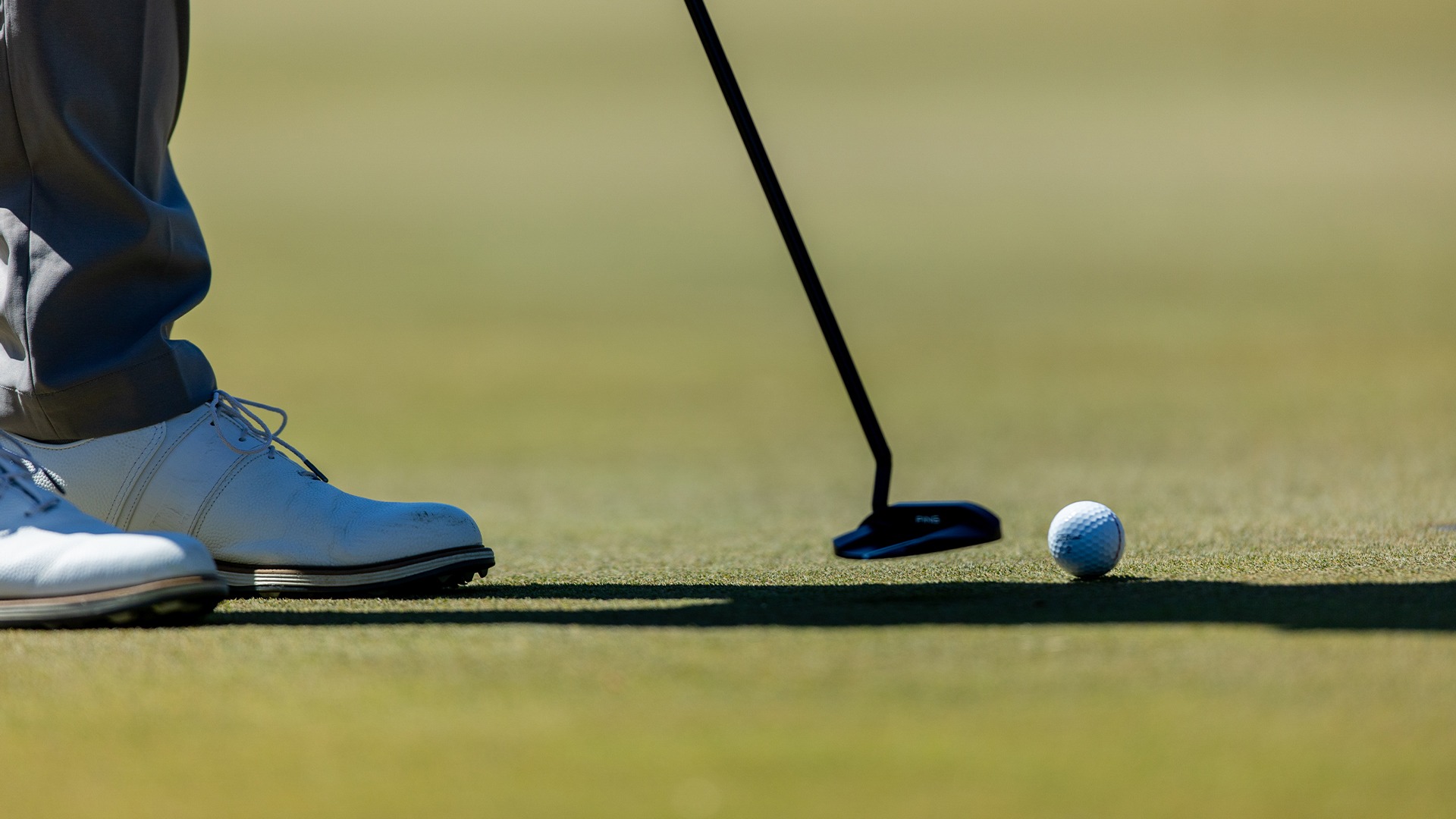 Men’s Golf inks transfer Zimmer for 2024-25 season - Middle Tennessee ...