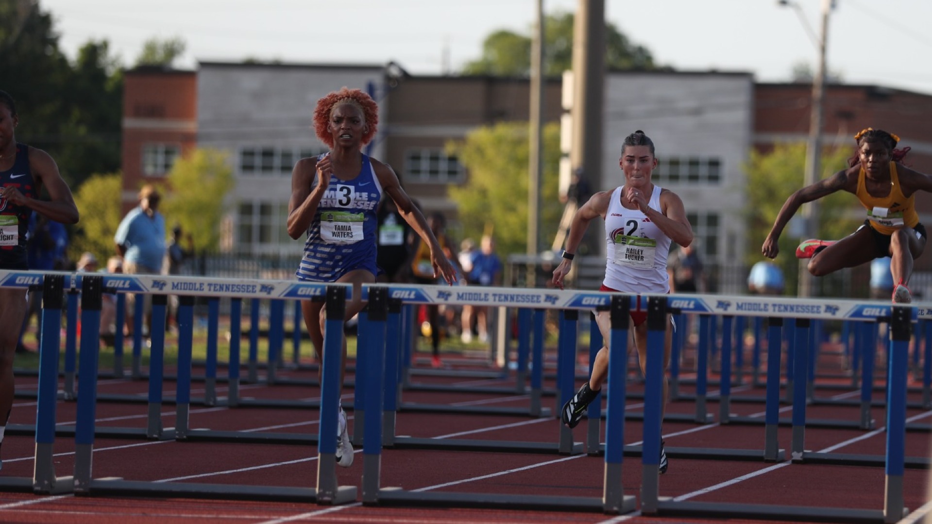 CUSA Outdoor Track Championship tickets on sale now - Middle Tennessee ...